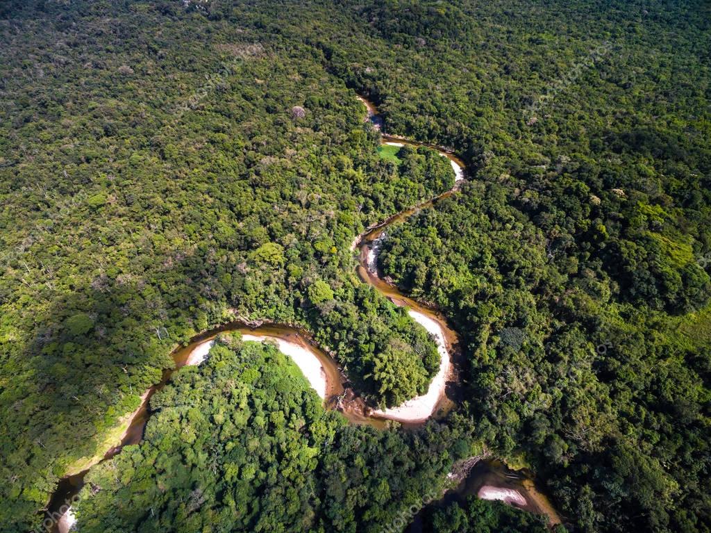 Vista superior del río en la selva tropical, Brasil: fotografía de ...