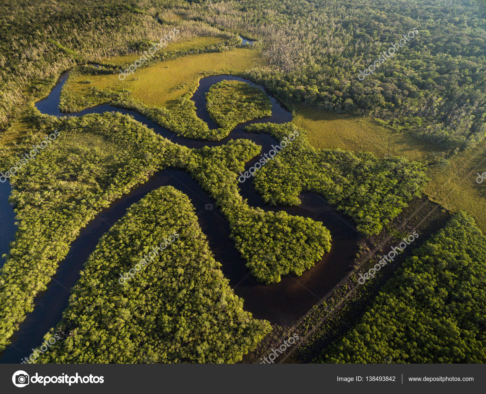 View of river in rainforest — Stock Photo © gustavofrazao #138493842