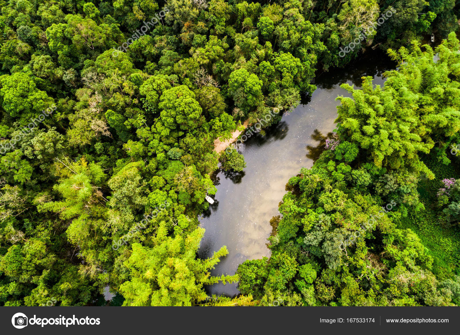 Aerial View of Amazon Rainforest, South America — Stock Photo ...
