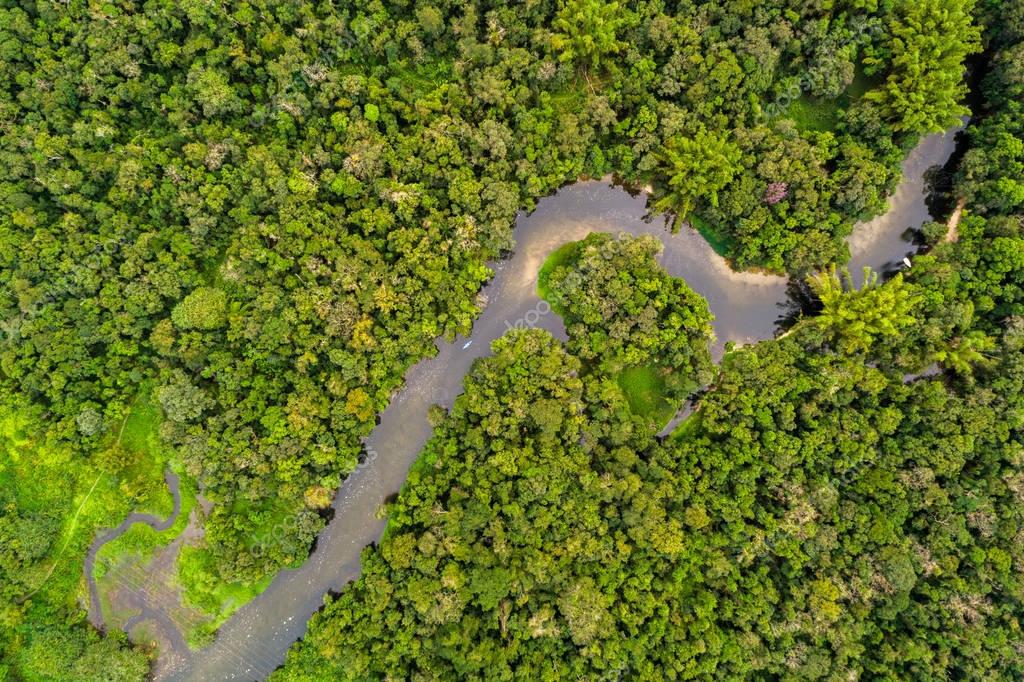 Vista aérea de la selva amazónica, América del Sur 2022