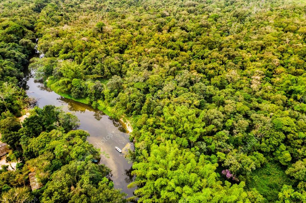 Vista aérea de la selva amazónica, América del Sur 2024