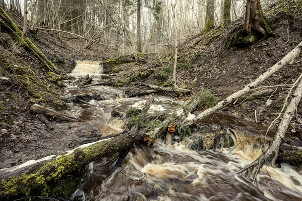 dirty waterfall on a small river in forest, fast current with stones ...