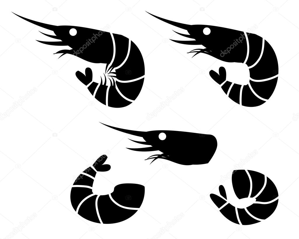 Prawn Silhouette