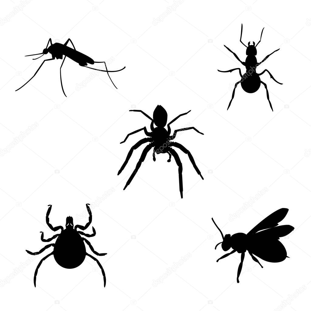 Conjunto de iconos insectos — Vector de stock #129794360 — Depositphotos