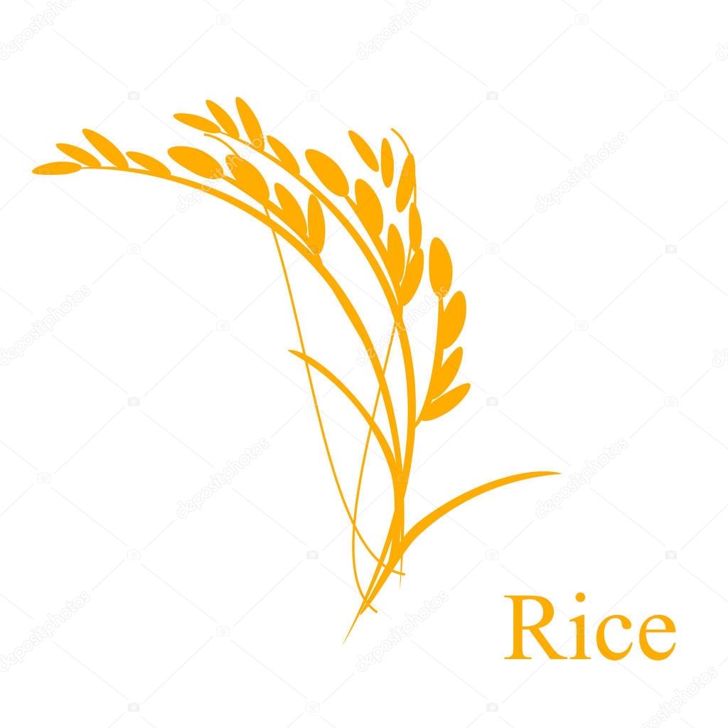 Rice ears vector — Stock Vector © viktorijareut #130022374