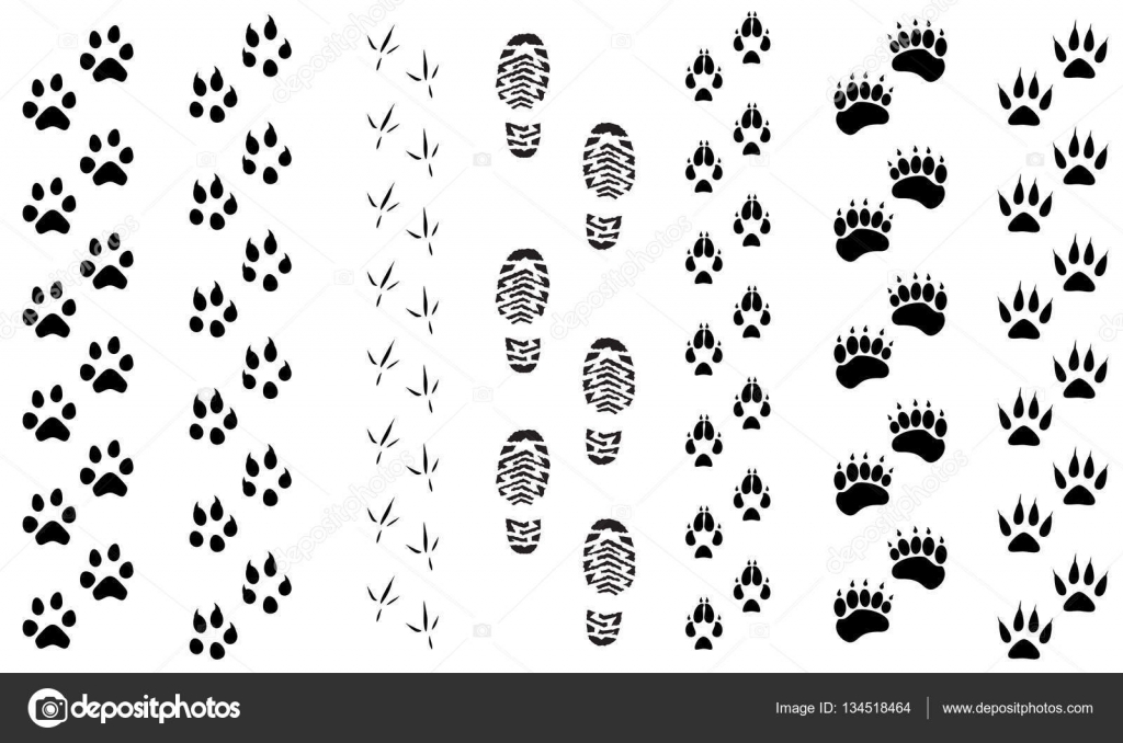 Animal Footprints Clip Art Pig Footprints Clipart 20 Free Cliparts