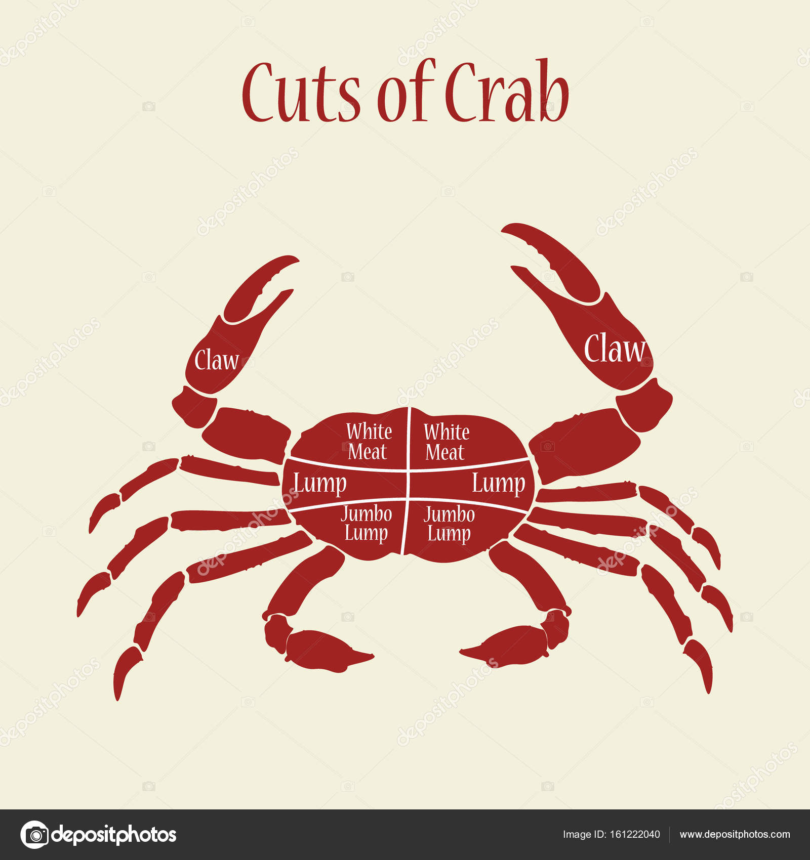 Blue Crab Diagram