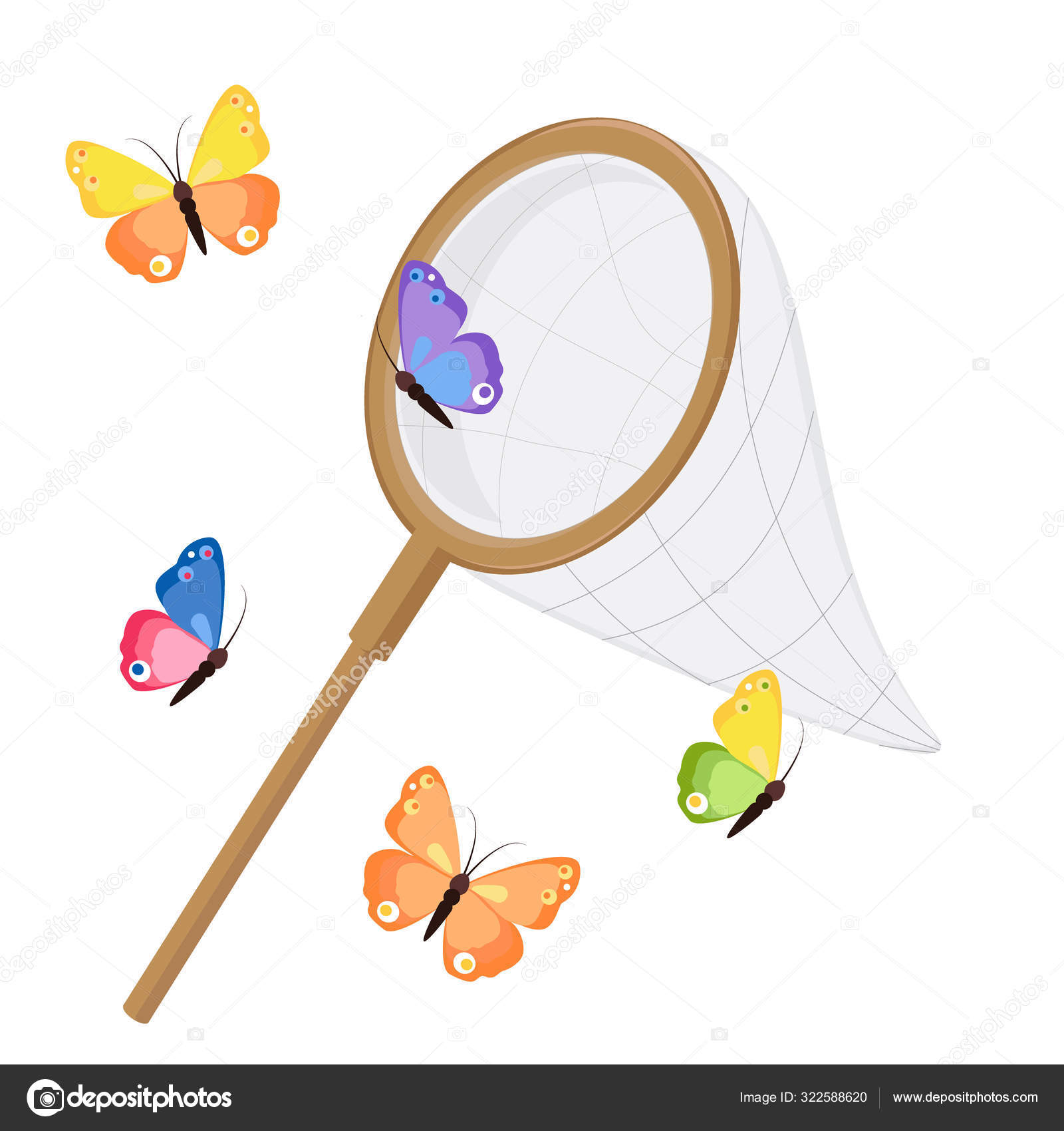 Butterfly Net Vector