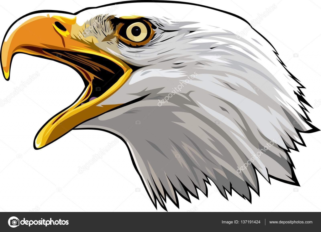 Vector: tete aigle | cabeza de águila Vector — Vector de stock ...