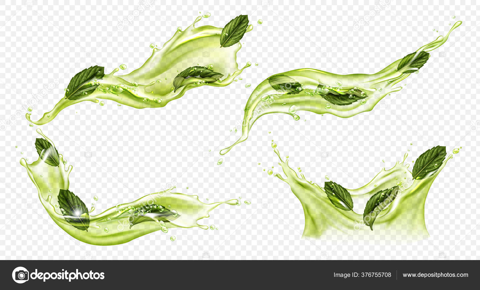 Vector realistic splash of green tea or matcha — Stock Vector ...