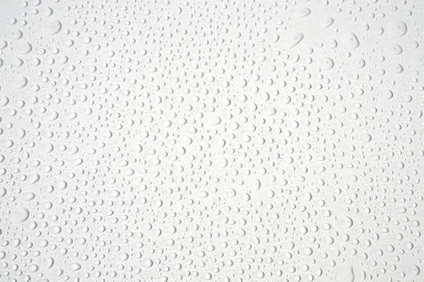 Water drops background white Stock Photo by ©keport 84718270
