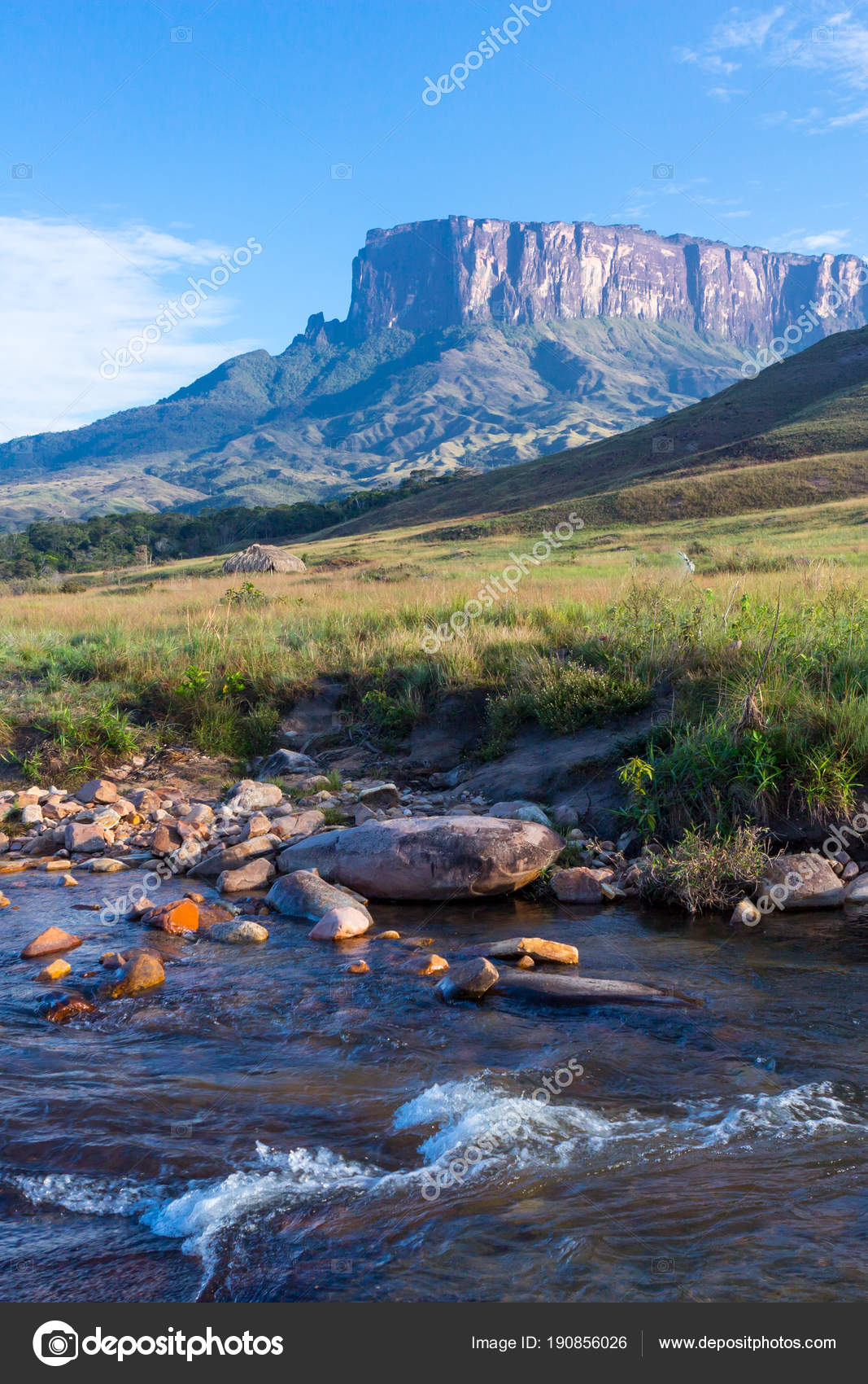 Mount Roraima, Venezuela, South America Stock Photo by ©MaRabelo 190856026