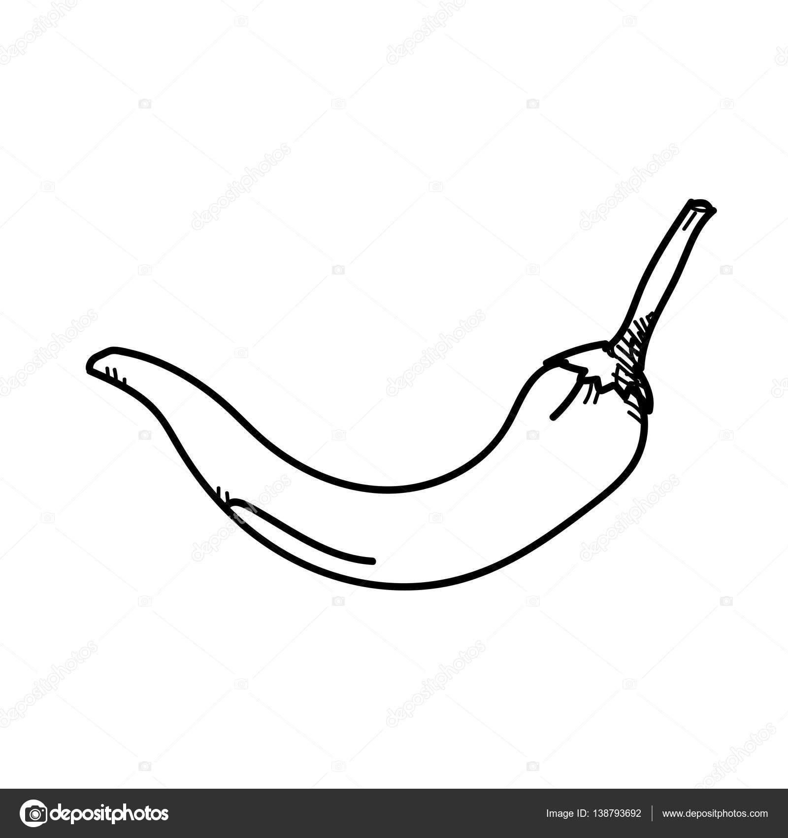 Freehand drawing illustration chilli. Stock Photo by ©Bluehousestudio ...