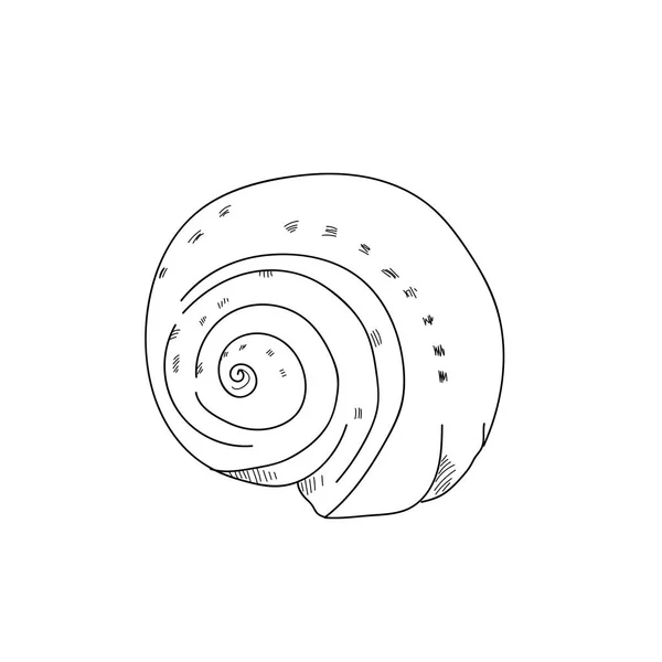 Snail Shell Outline