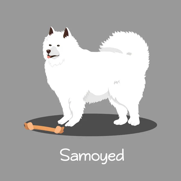208 Samoyed cartoon Vector Images | Depositphotos