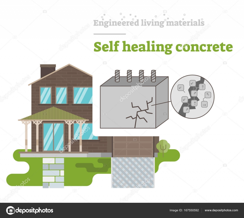 Self Healing Concrete - Engineered Living Material Stock Vector by ...