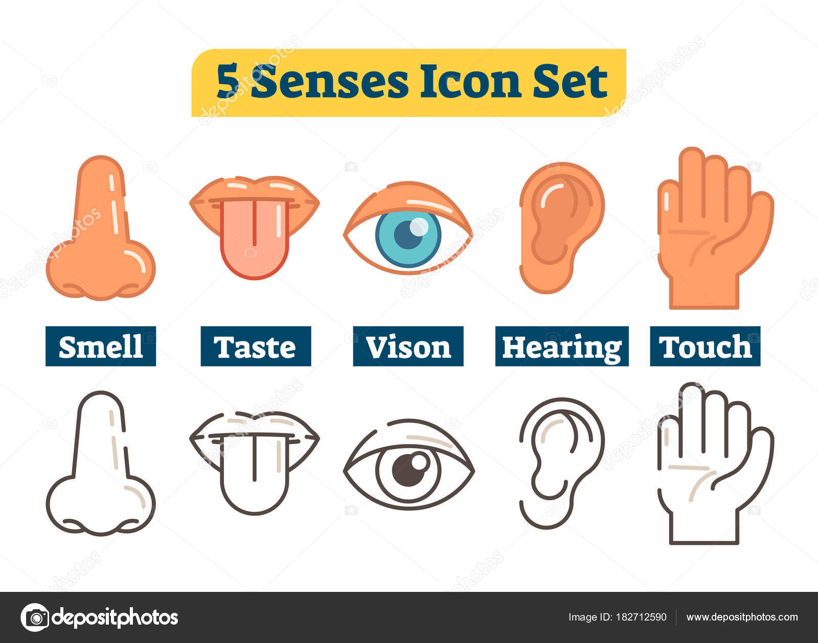 Five human body senses: smell, taste, vision, hearing, touch. Vector ...