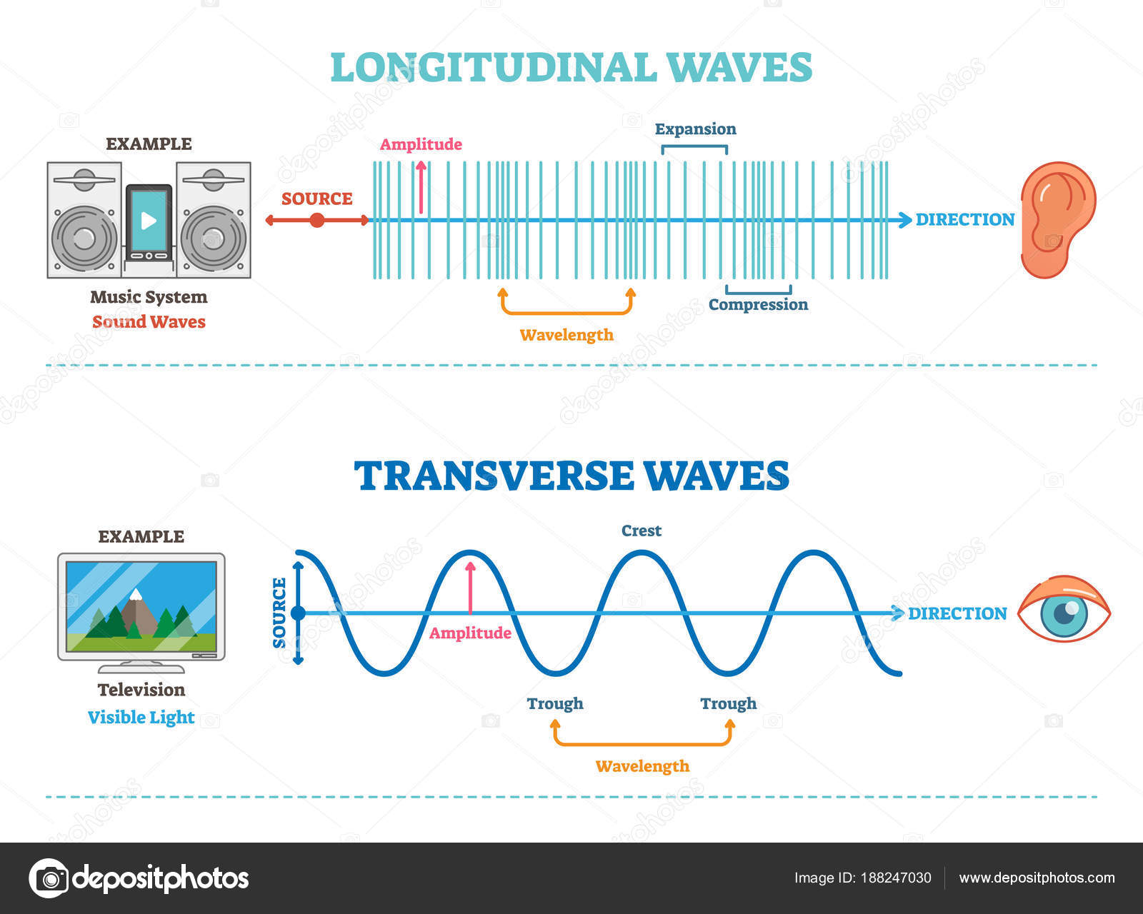 Tipo de onda longitudinal y transversal, diagrama científico de ... Tipo de onda longitudinal y transversal, diagrama científico de ...