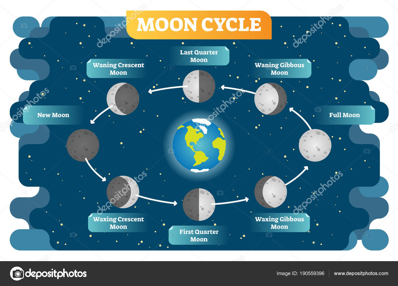 Lunar Phase Cycle