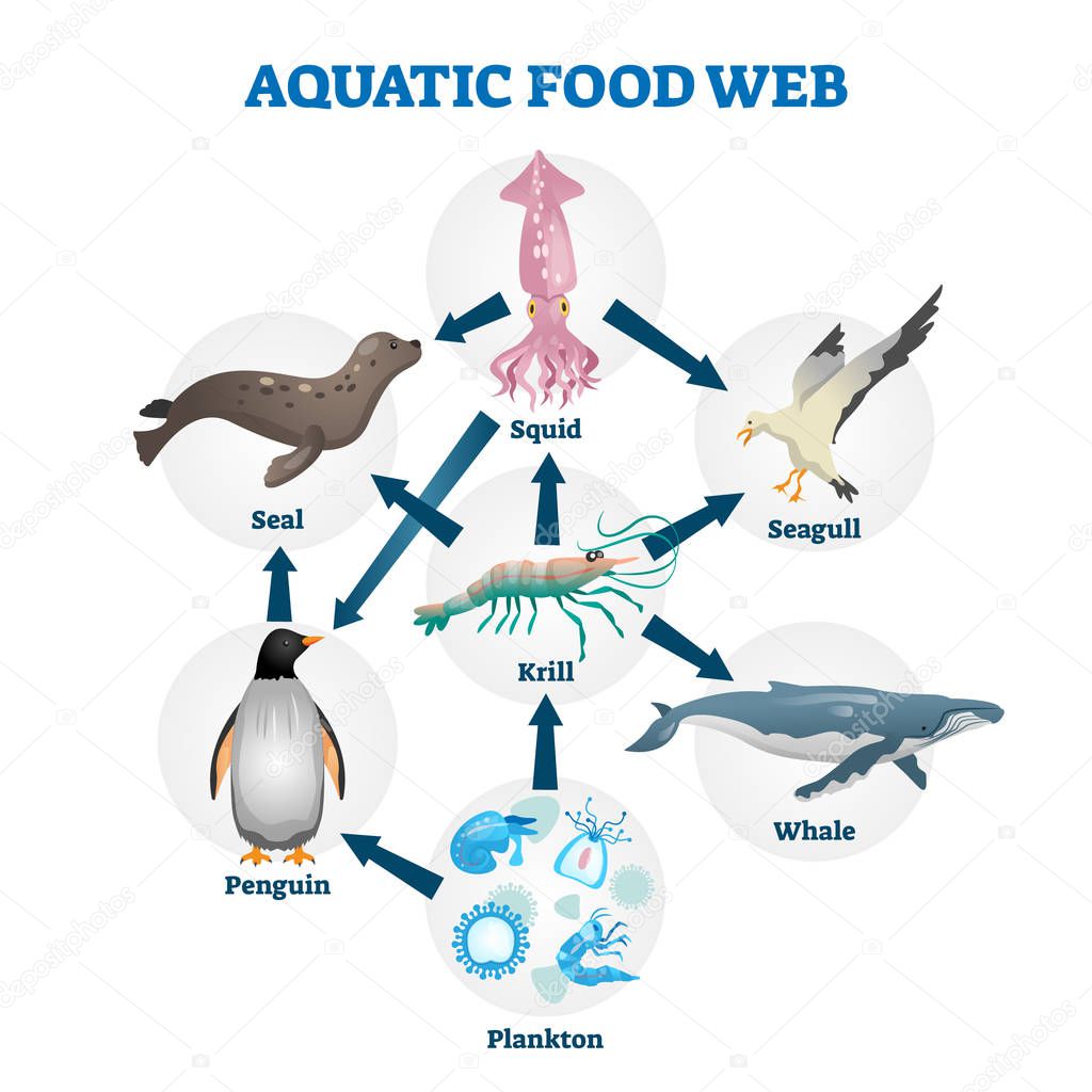 Red Alimentaria Oceánica