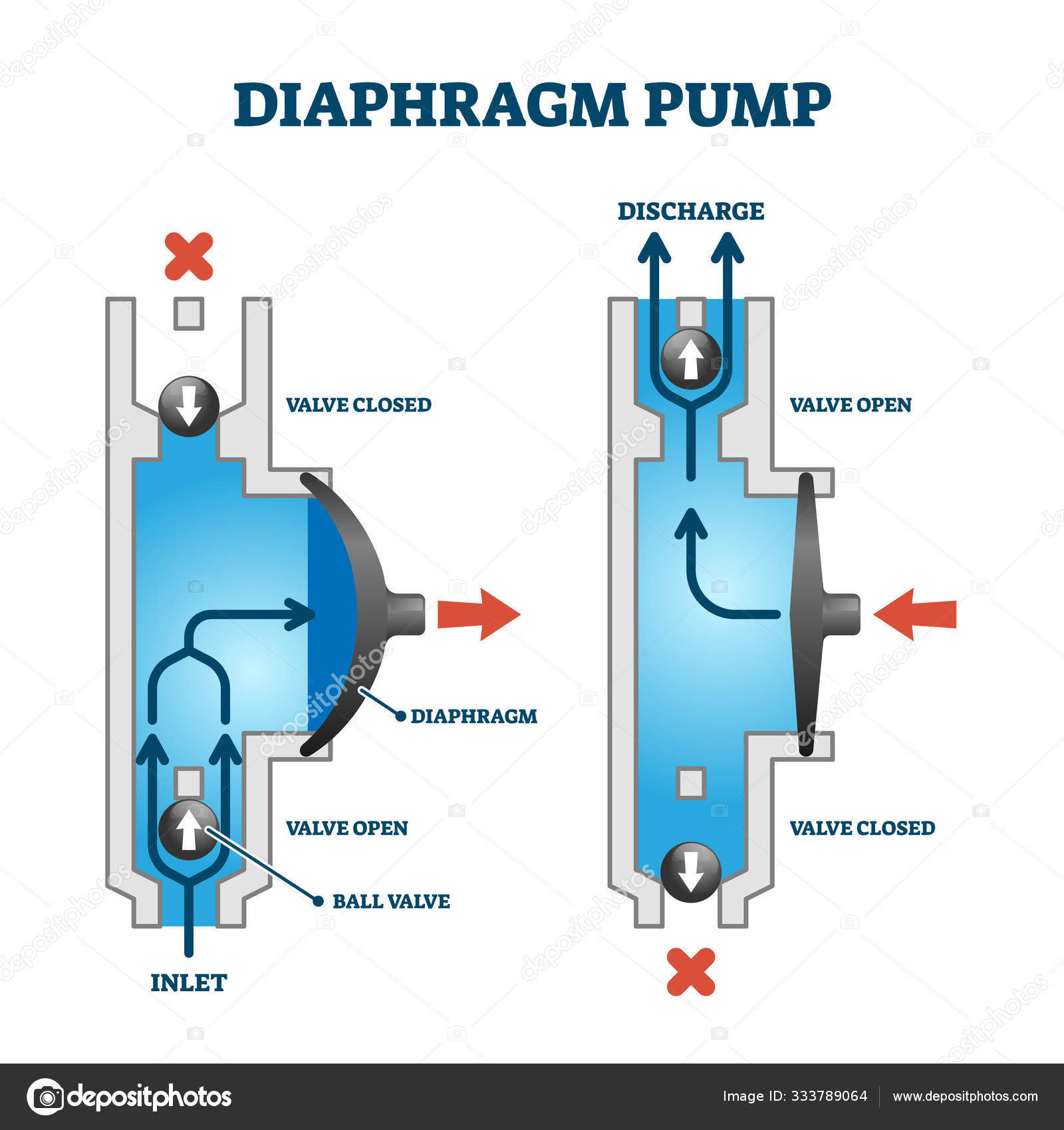 Bomba De Diafragma Como Funciona