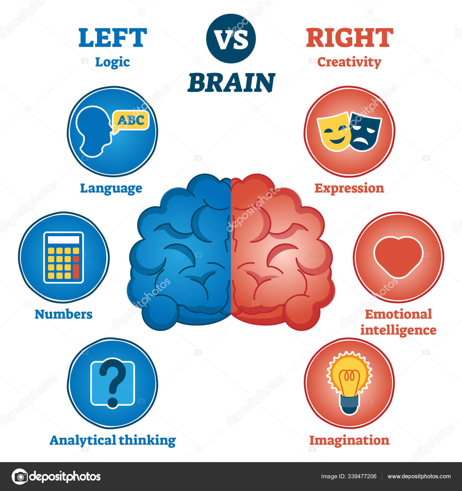 Left Brain Diagram