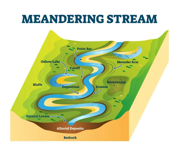 Watershed as water basin system with mountain river streams outline ...