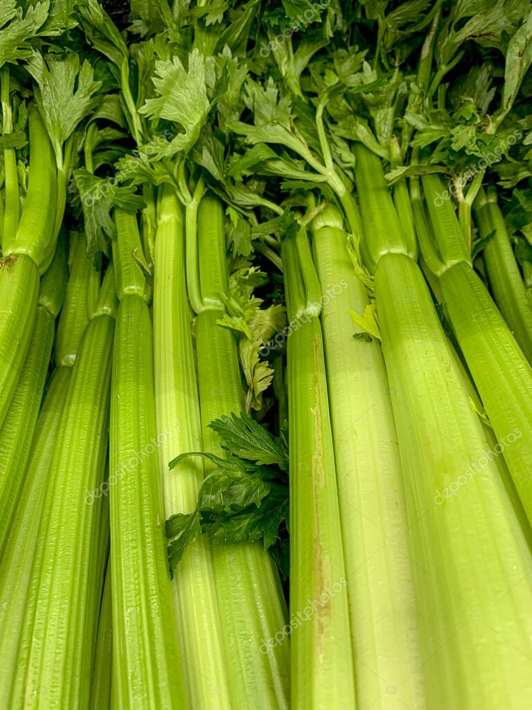 Apio orgánico fresco en el supermercado 2024