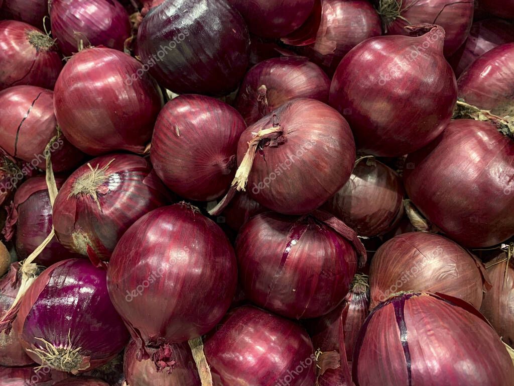 Fotograma completo de cebollas moradas, Panamá, Centroamérica 2023