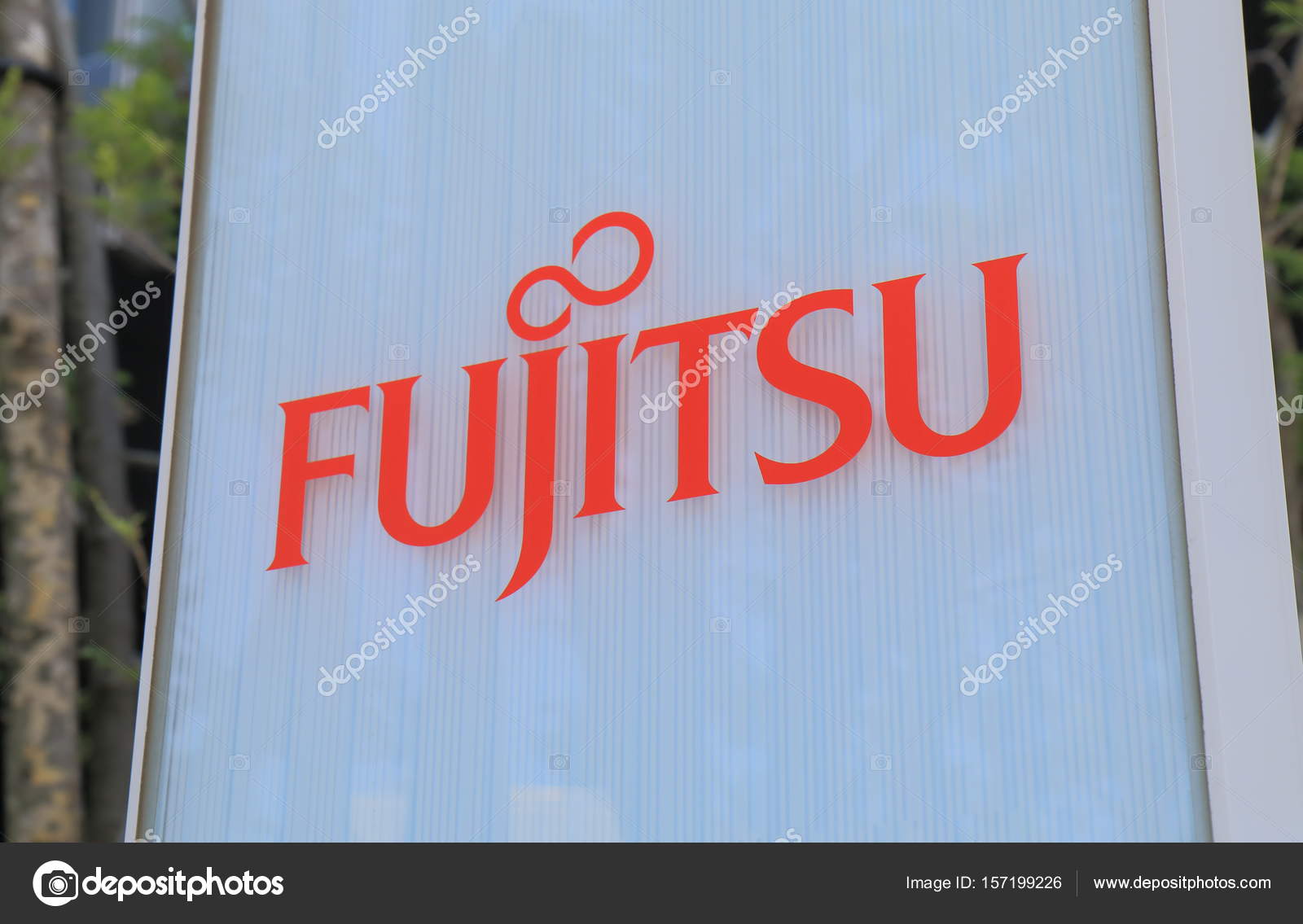 Japanese Multinational Electronics Corporation