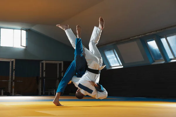 Two judo fighters showing technical skill while practicing martial arts ...