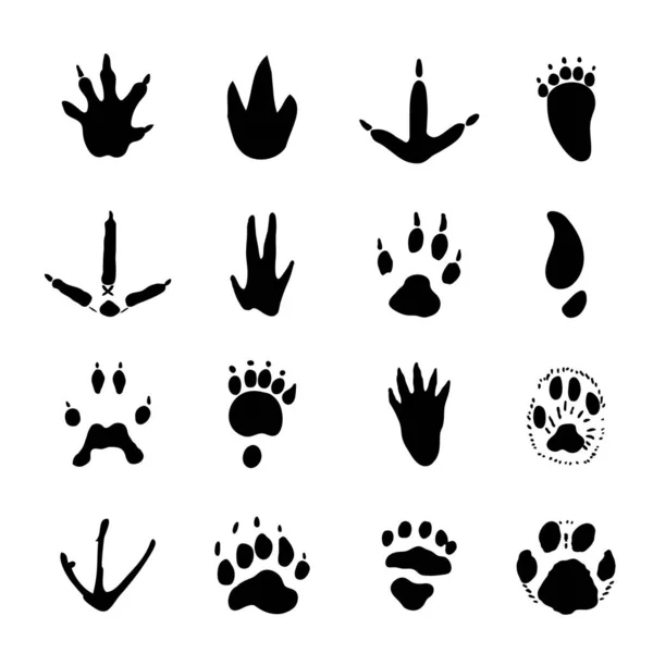 Rabbit trail Vector Art Stock Images | Depositphotos