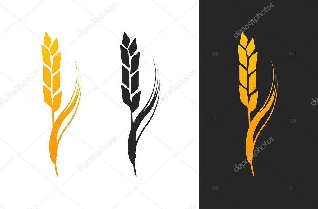 Spiga Di Grano Tattoos