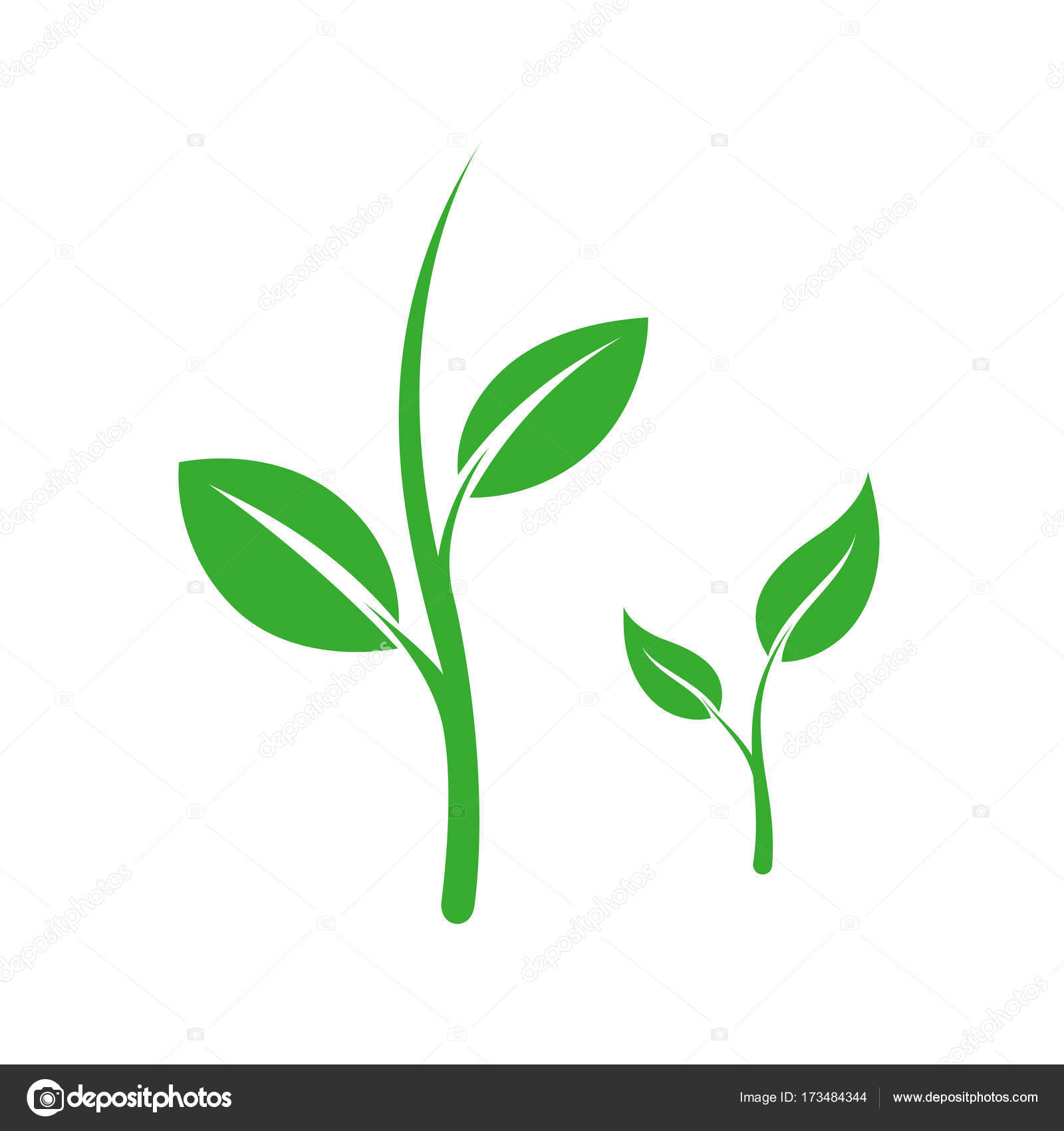 Green sprout with leaves Stock Vector Image by ©EgudinKa #173484344