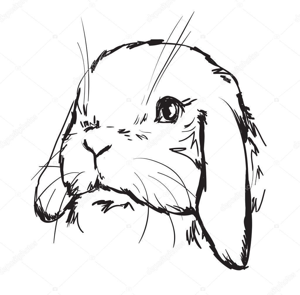 Hand drawn illustration of bunny — Stock Vector © AlsouSh #126378872