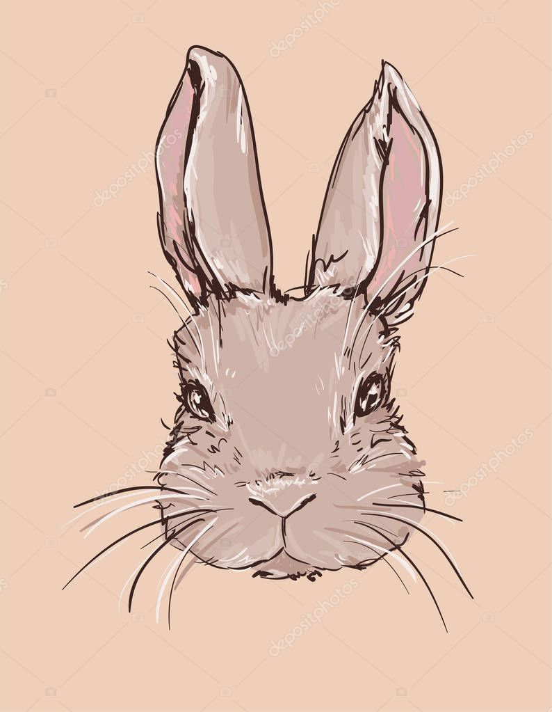 Hand Drawn rabbit sketch — Stock Vector © AlsouSh #128936946