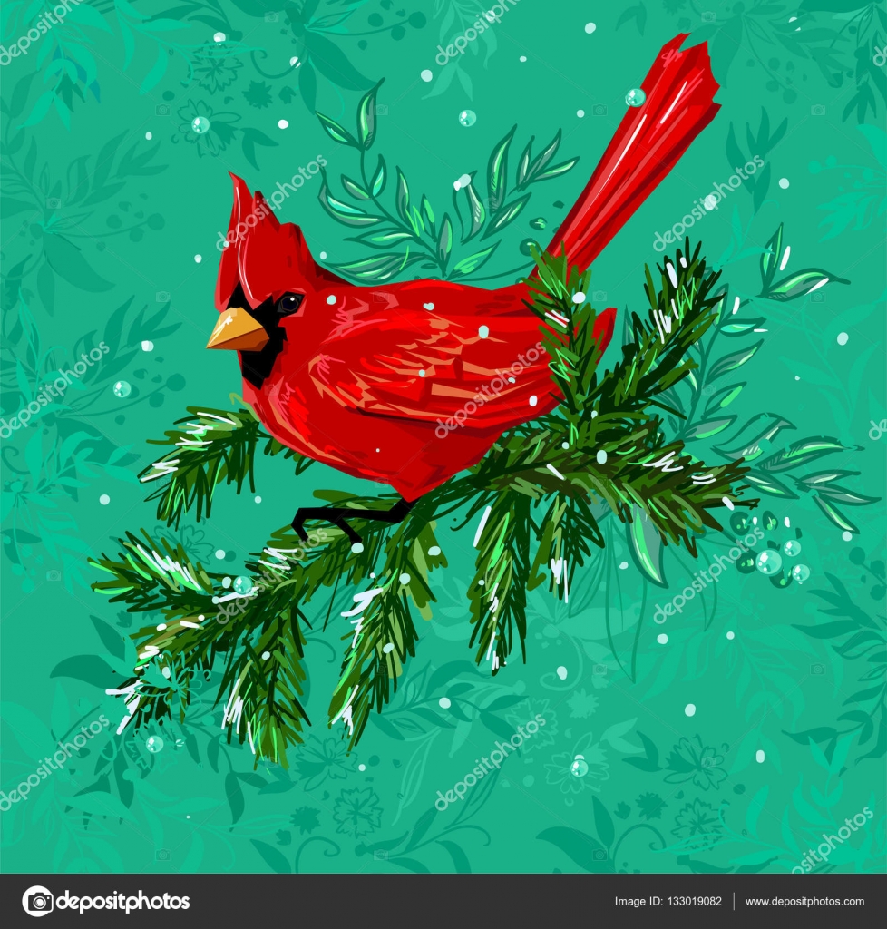 Red cardinal bird — Stock Vector © AlsouSh #133019082