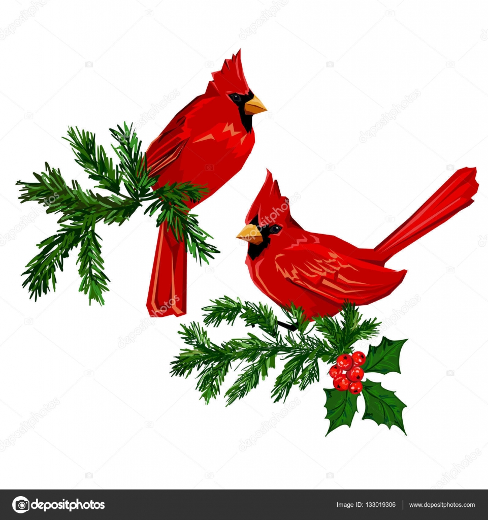 Red cardinal birds — Stock Vector © AlsouSh #133019306