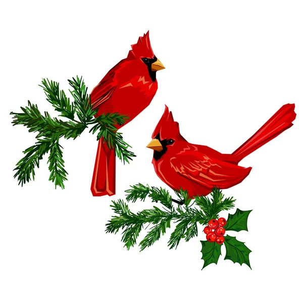 Red cardinal birds Stock Vector Image by ©AlsouSh #133019330