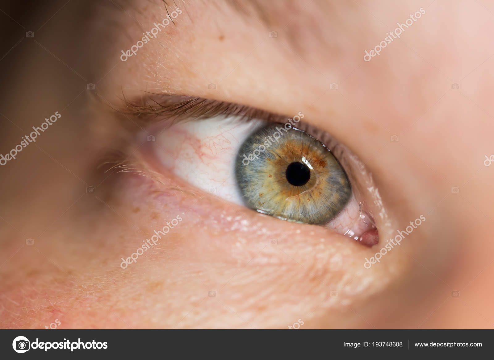 Eye close up Stock Photo by ©RedRat 193748608