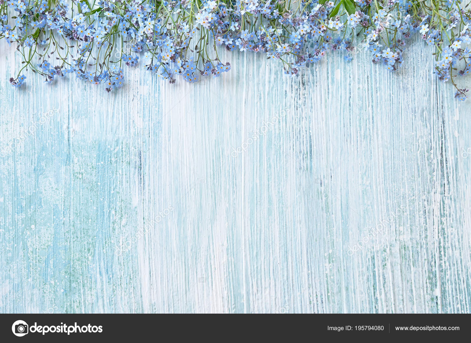 Blue Spring Background