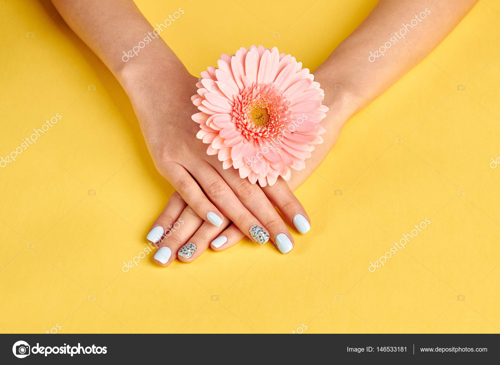 Gentle female hands with pink gerbera. — Stock Photo © margostock ...