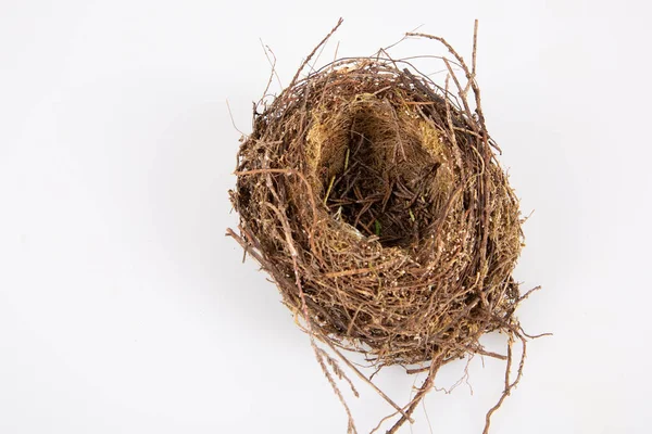 Sparrow nest Stock Photos, Royalty Free Sparrow nest Images | Depositphotos