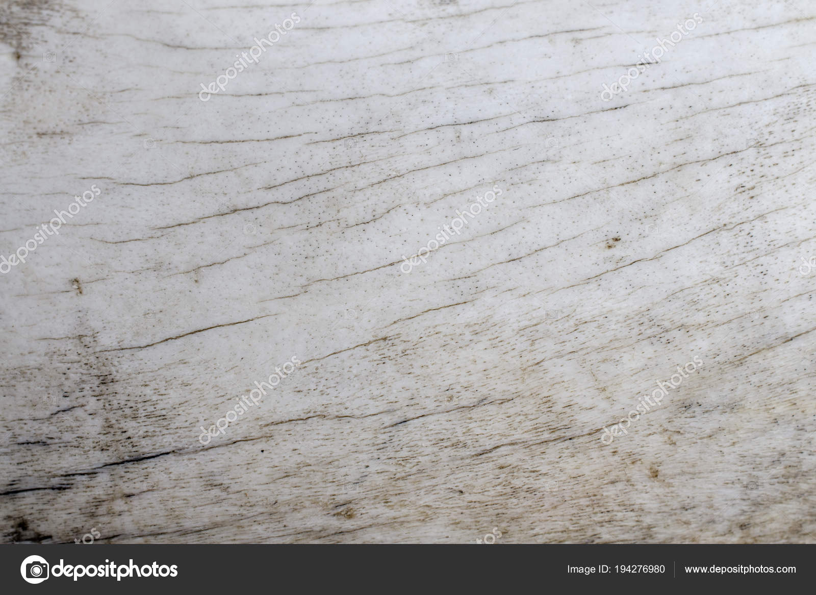 Bone texture of an animal Stock Photo by ©vi0222 194276980