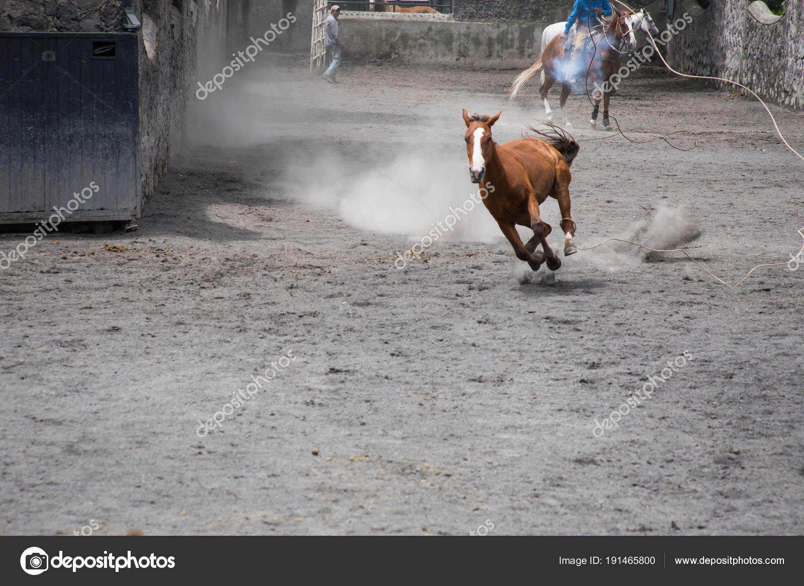 Traditional Rodeo Show Mexico City – Stock Editorial Photo © mardzpe ...