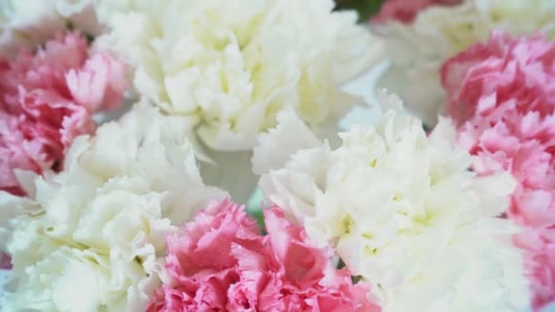 219,018 Flowers Videos, Royalty-free Stock Flowers Footage | Depositphotos