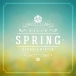Spring Vector Typographic Greeting Card or Poster Design Stock Vector ...