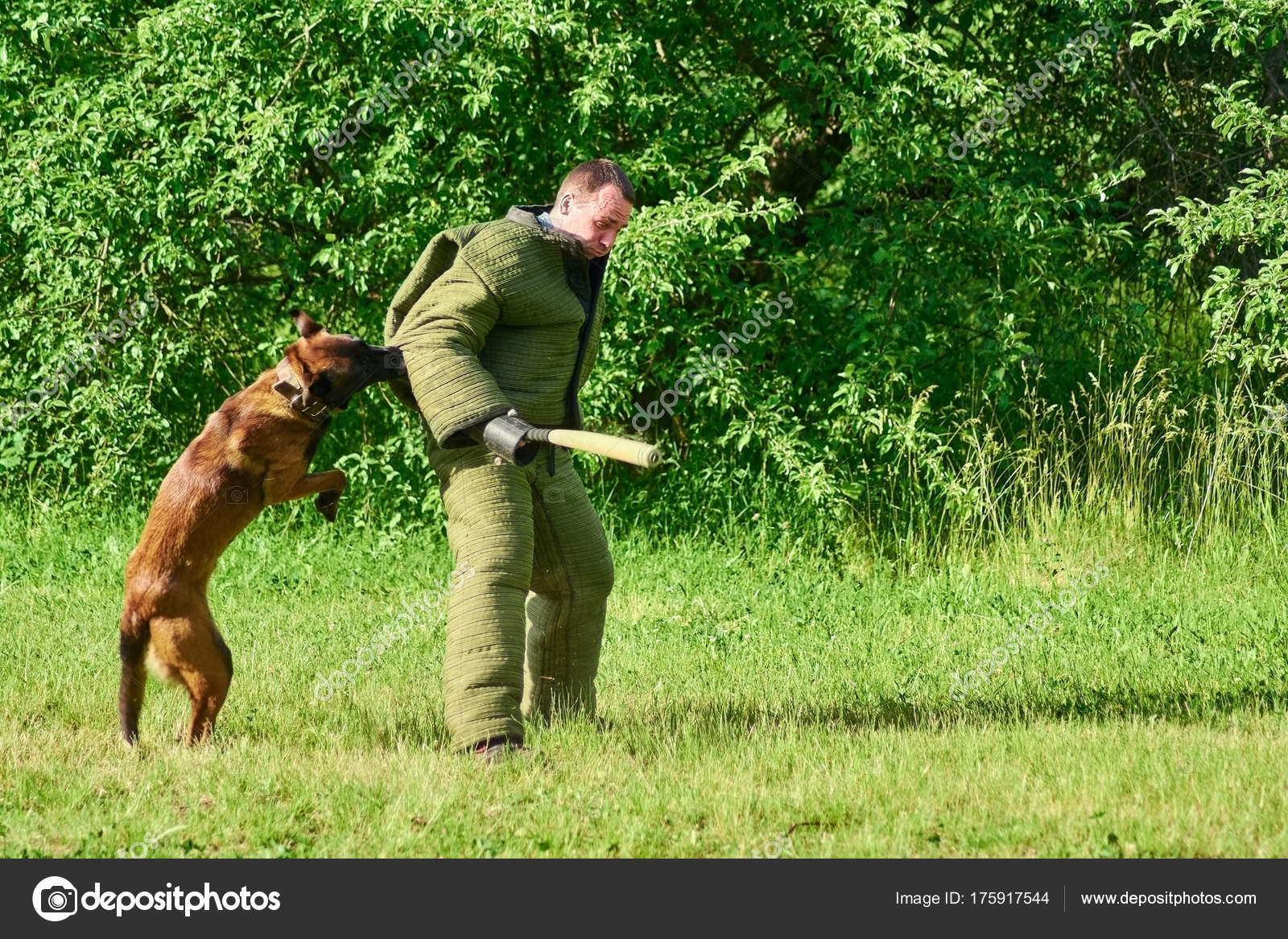 El perro está atacando al hombre de repente. . — Foto de stock ...