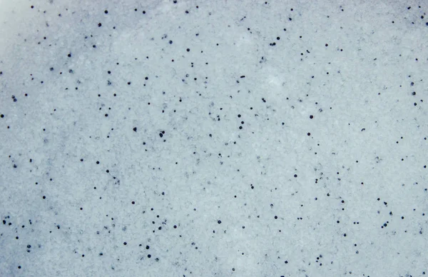 Body scrub with exfoliating particles. Selective focus. Closeup ...