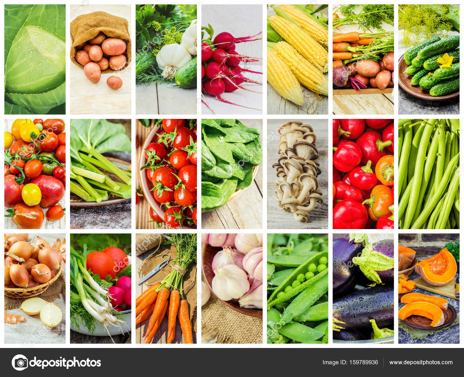 Collage de diferentes verduras. Comida vegetariana .: fotografía de ...